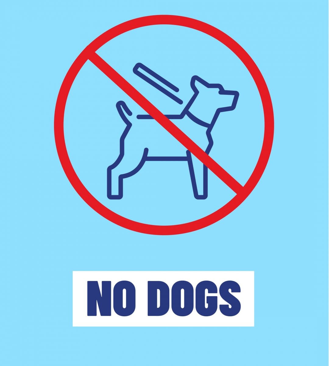 Bolder Race Day Info - BOLDERBoulder 10K